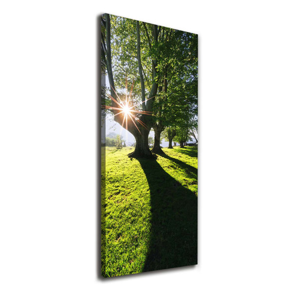 Brayden Studio Park - Kunstdrucke auf Leinwand - Wrapped Canvas | Wayfair.de